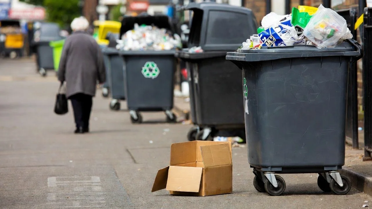 Carole Wright Fly Tipping Fine Sparks Outrage After £600 Penalty for ...